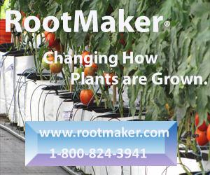 RootMaker® Product Review - my Garden and Greenhouse