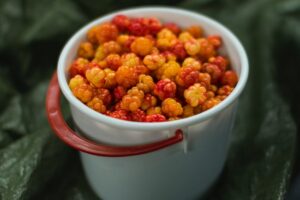 How to Cultivate Cloudberries: A Guide to Growing the Arctic Delicacy ...